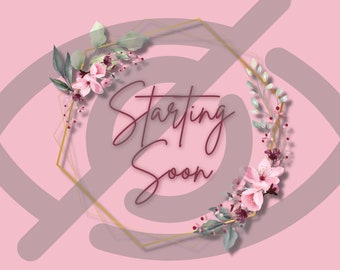 Pink Starting Soon Screen - Etsy