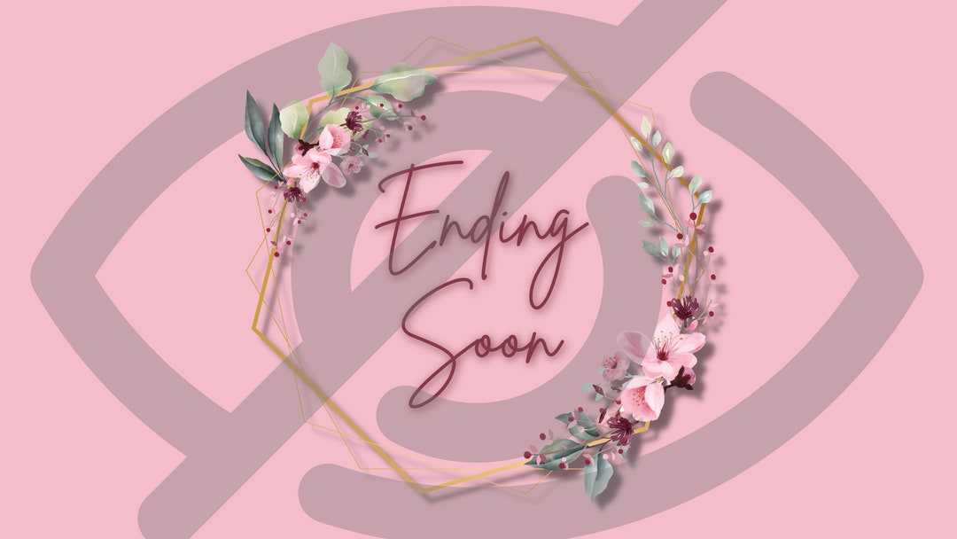 Animated Pink Floral Ending Soon Screen / Twitch Overlay / Animated ...