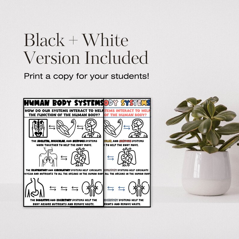 Body System Interactions | Anchor Chart, Classroom Poster, Science ...