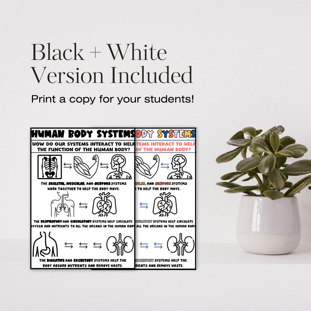 Body System Interactions Anchor Chart, Classroom Poster, Science Poster ...