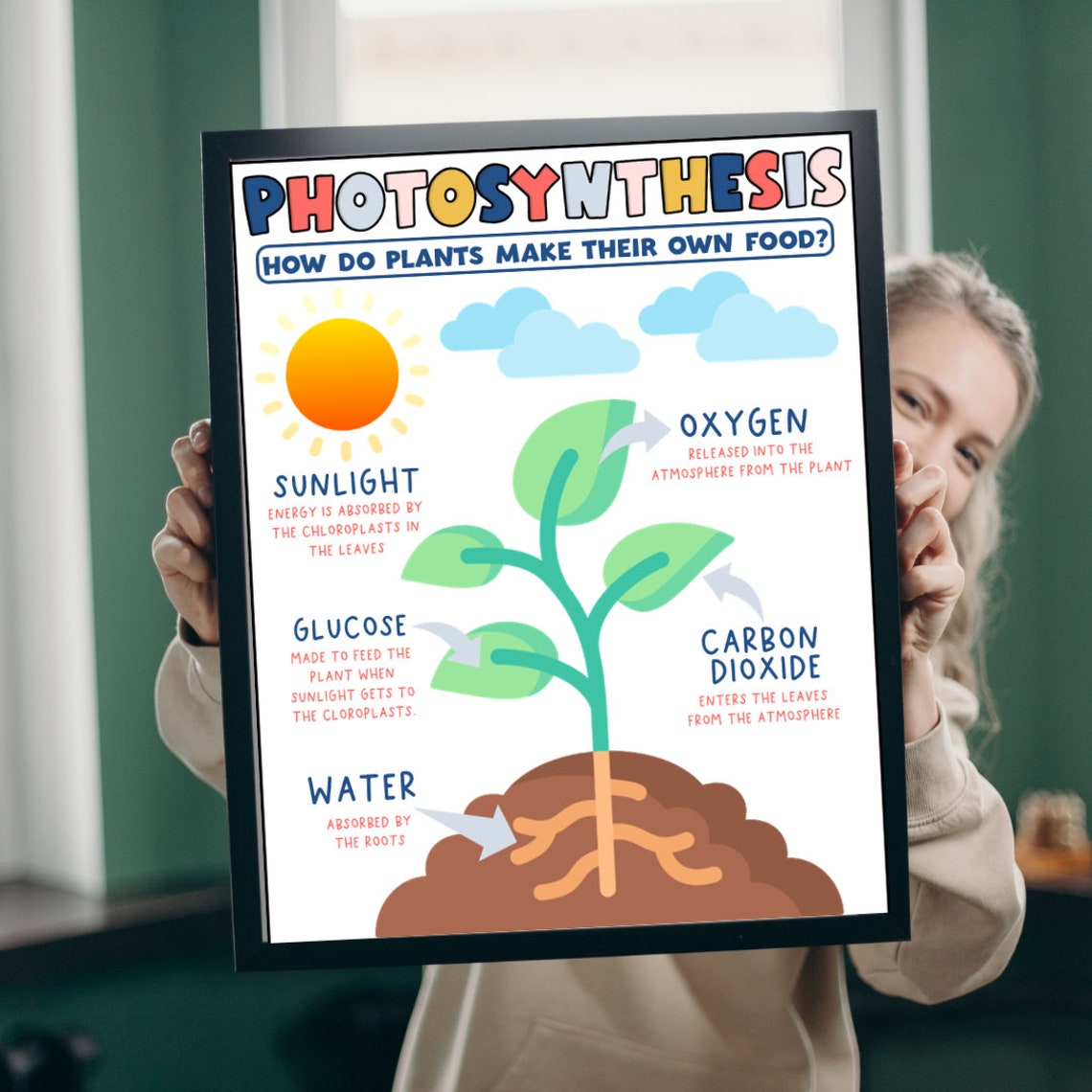 Photosynthesis | Anchor Chart, Classroom Poster, Science Poster ...