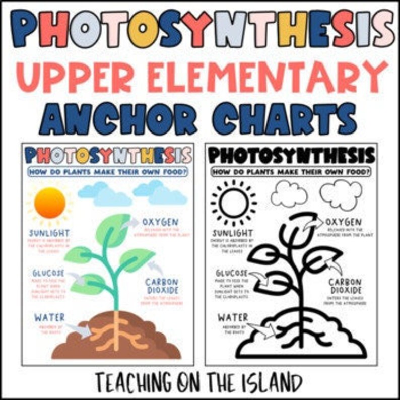 Photosynthesis | Anchor Chart, Classroom Poster, Science Poster ...