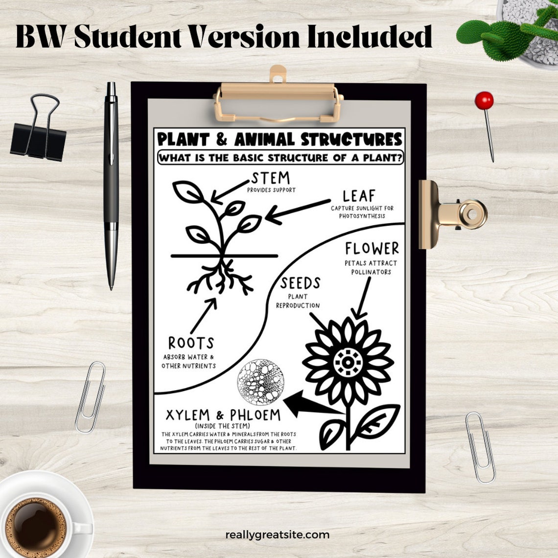 Plant Structures | Anchor Chart, Classroom Poster, Science Poster ...