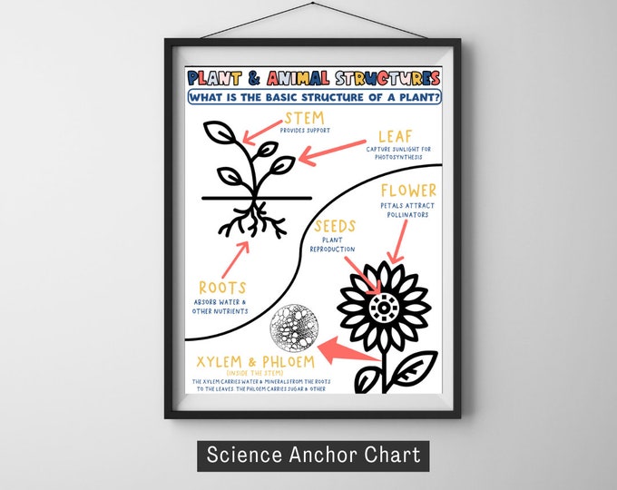 Plant Structures | Anchor Chart, Classroom Poster, Science Poster ...