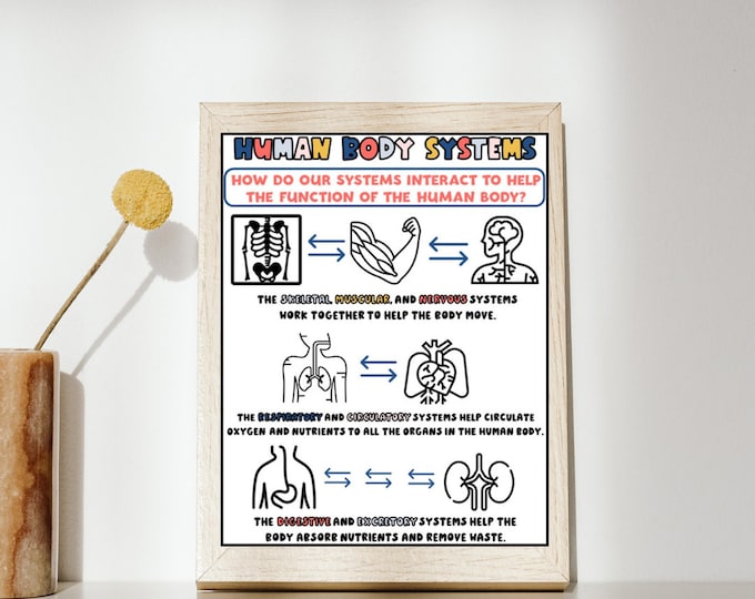 Body System Interactions Anchor Chart: Science Classroom Poster ...