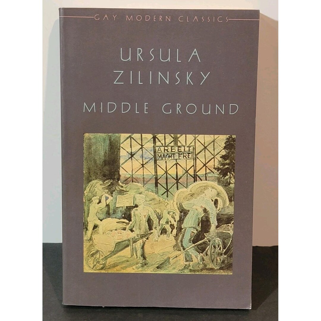 Middle Ground by Ursula Zilinsky (1987, Trade Paperback) Gay Modern ...