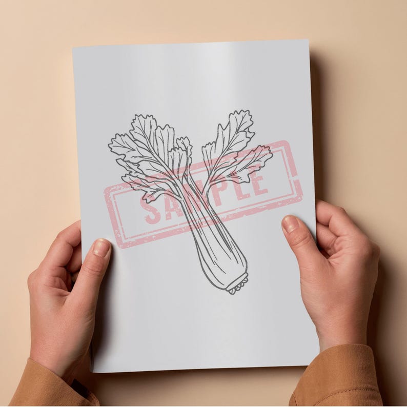 Fruits Vegetables Tracing Coloring Pages – Single Object Activity ...