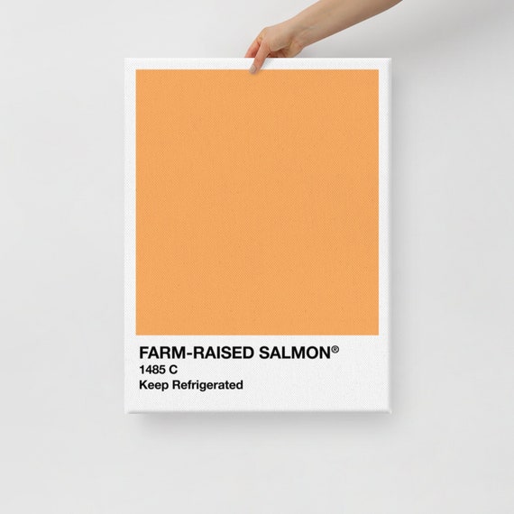 Unsung Pantone Salmon Canvas - Etsy
