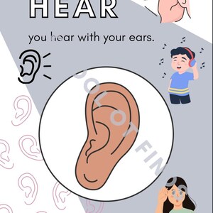 Sensory Posters (8.5x11, Digital) - Etsy