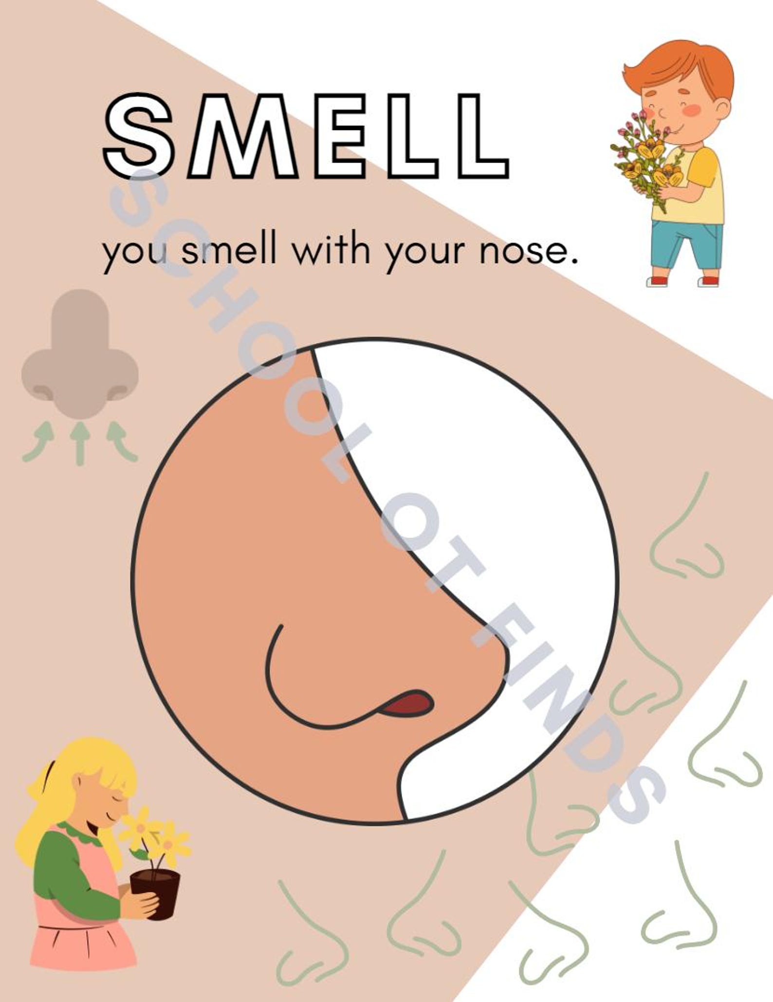 Sensory Posters (8.5x11, Digital) - Etsy