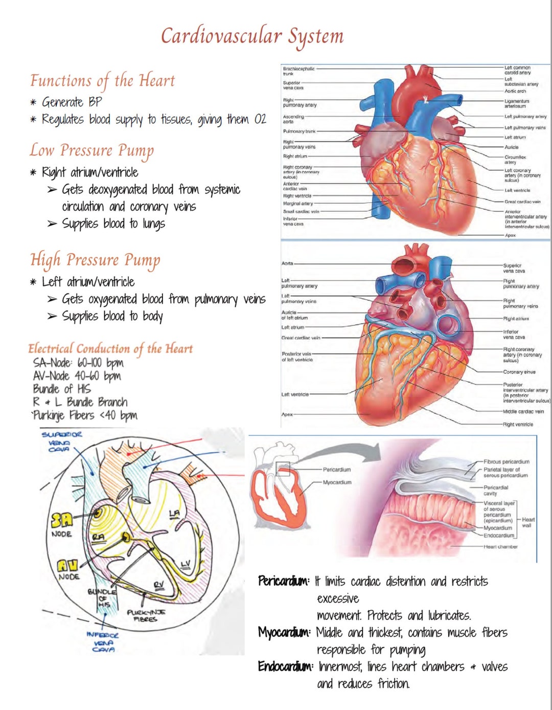 Paramedic Reference Book - Etsy