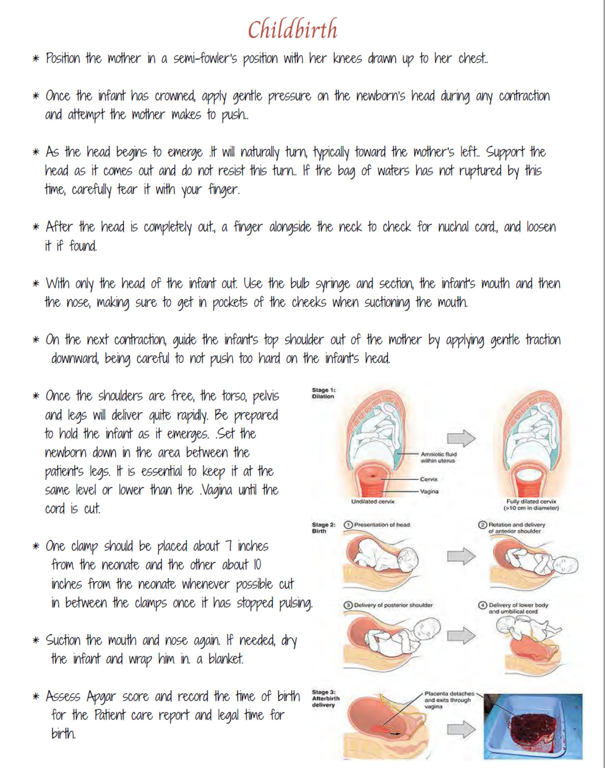 Paramedic Reference Book - Etsy