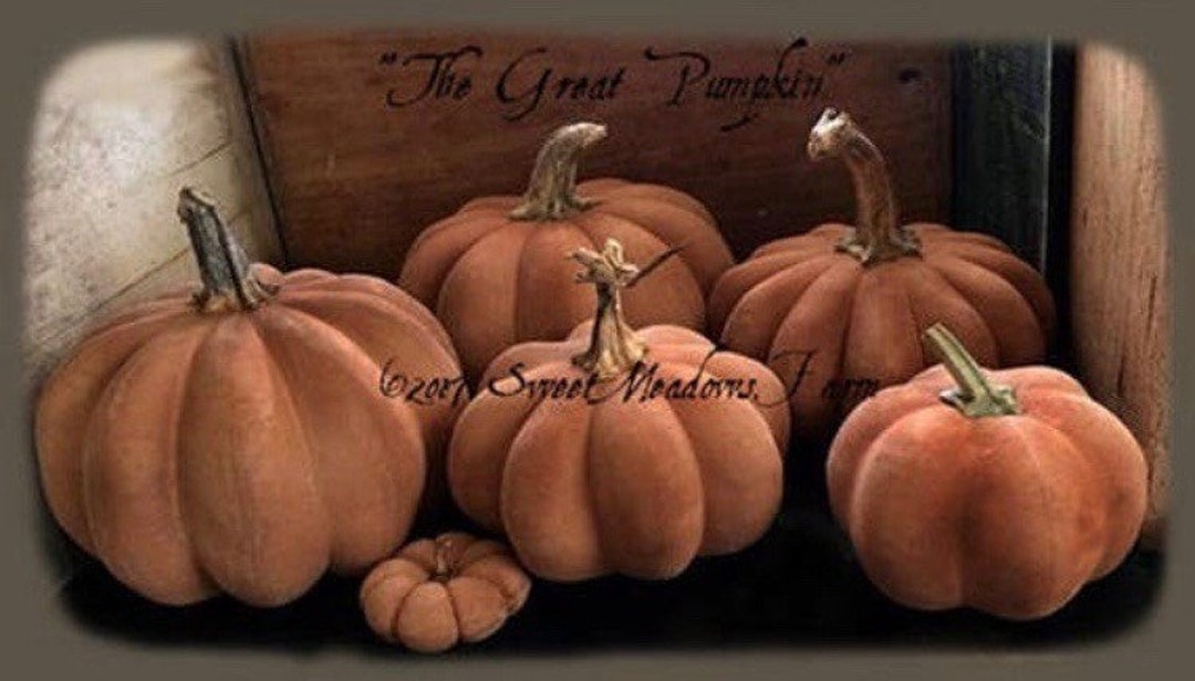 The Great Pumpkin, Brand New Pumpkin Epattern for Fall - Etsy