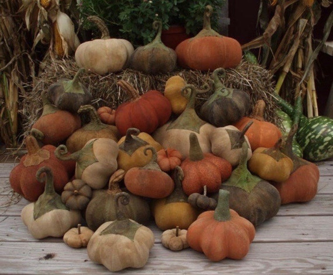 Primitive Pumpkins Pattern E-PATTERN Famers Field MANY Sizes - Etsy