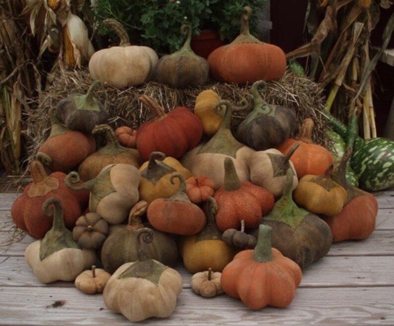 Primitive Pumpkins Pattern E-PATTERN Famers Field MANY Sizes and Styles - Etsy