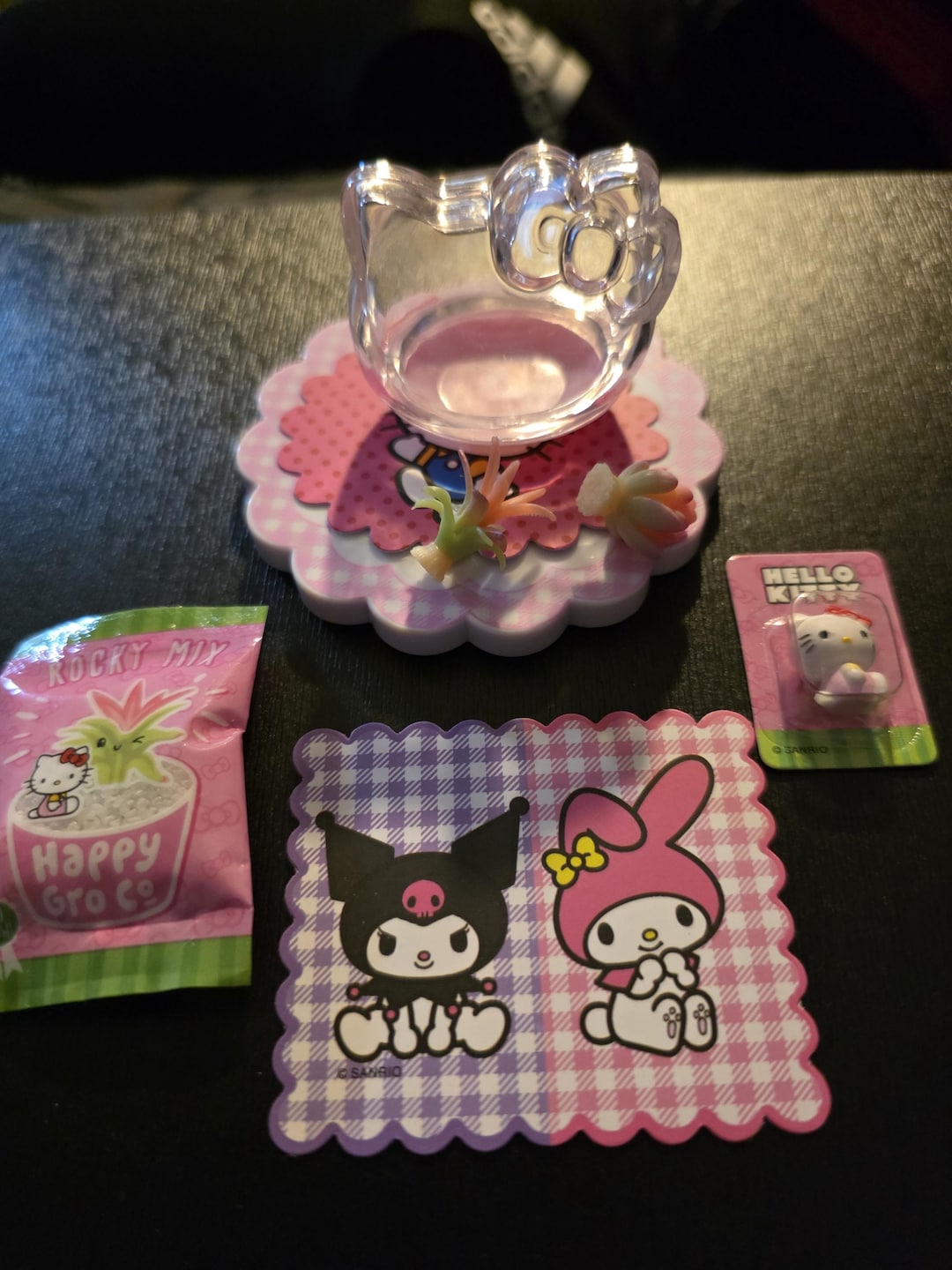 Miniverse HELLO KITTY Terrarium - Etsy
