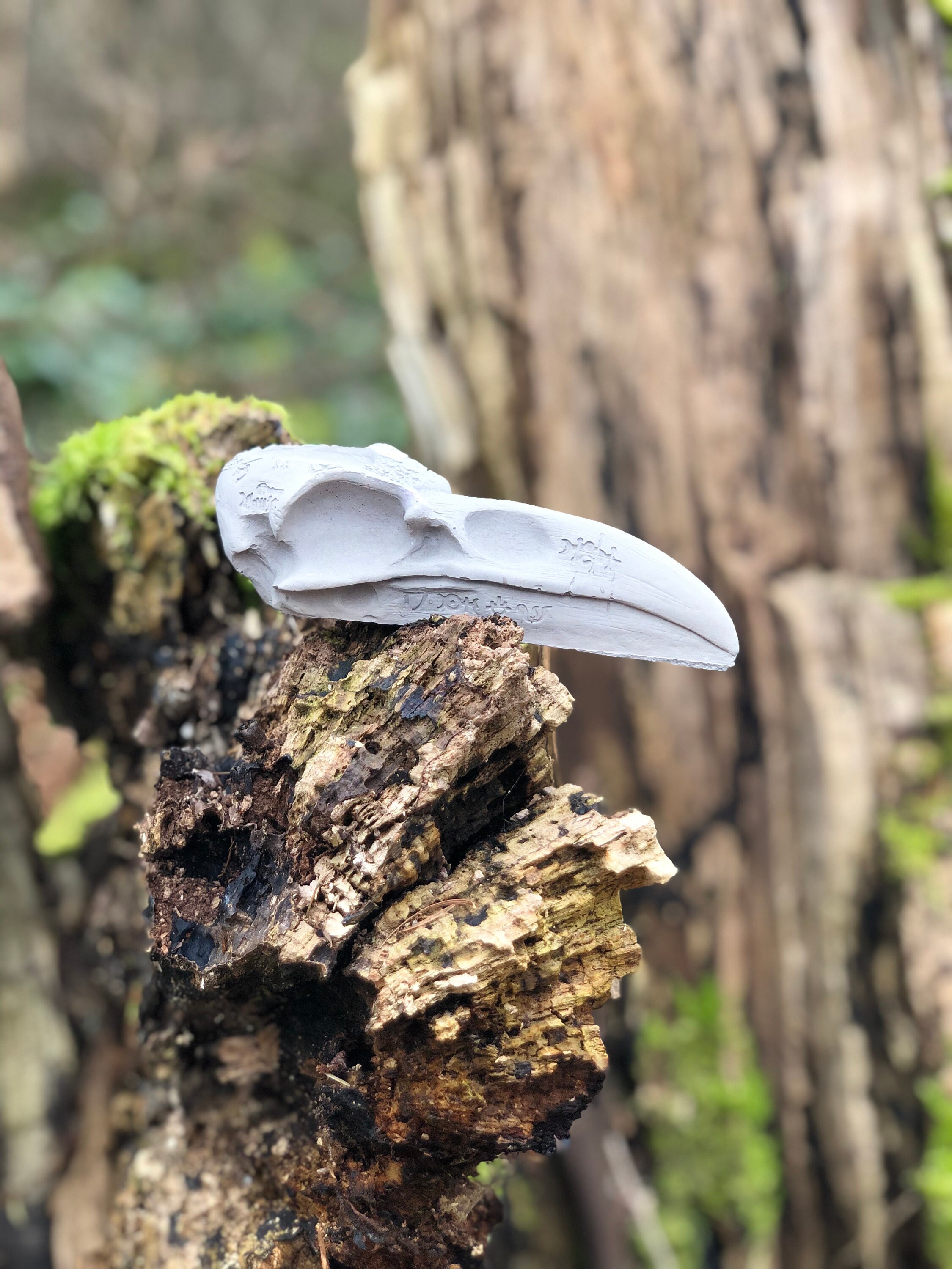 Crow, Crow Candle Holder, Stone Crow, Crow Decor, Gothic Decor, Crow ...