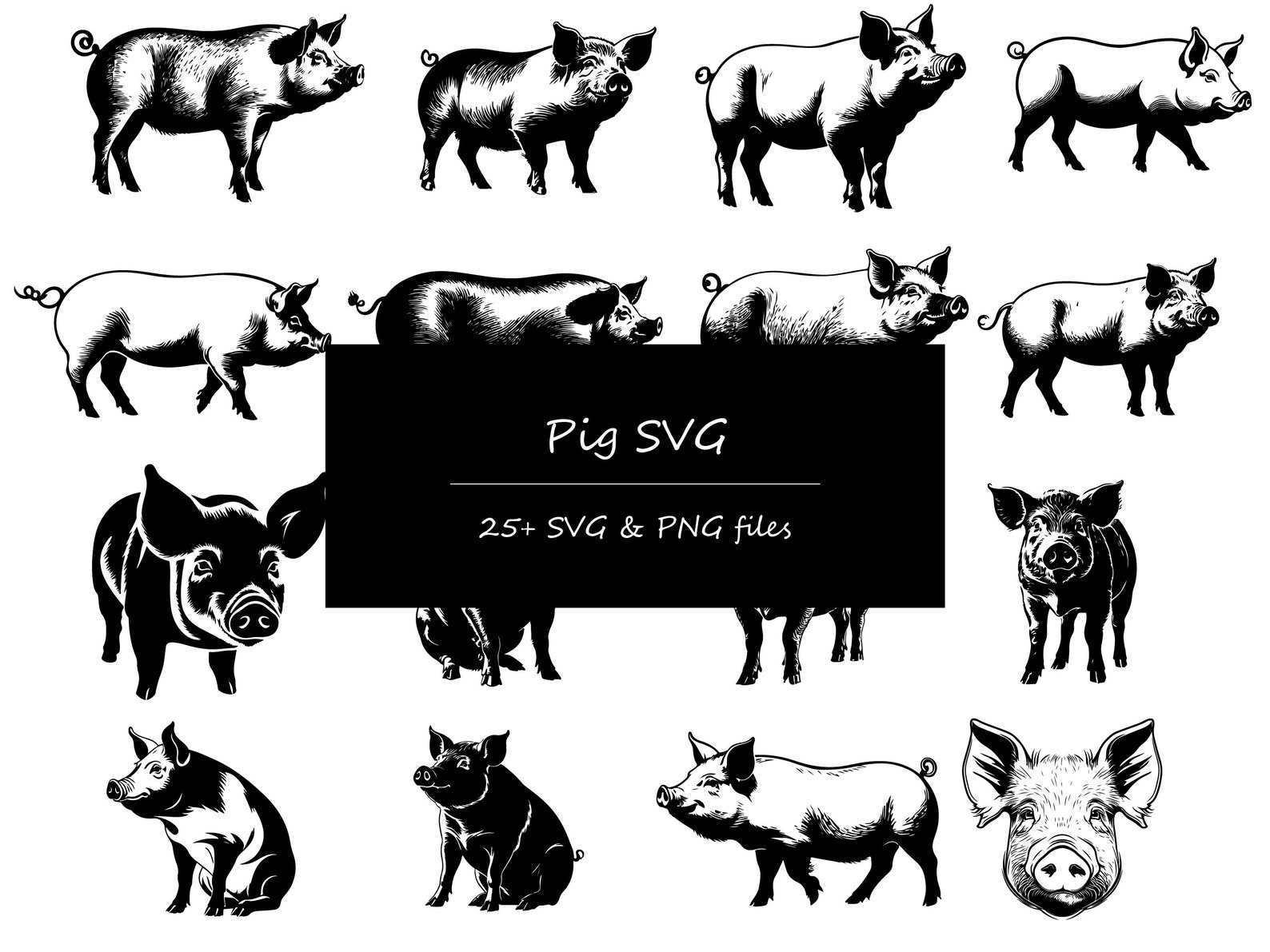 Pig SVG Bundle, Pig SVG, Pig Face SVG, Pig Head Svg, Pig Silhouette Svg ...