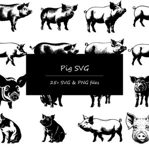 Pig SVG Bundle, Pig SVG, Pig Face SVG, Pig Head Svg, Pig Silhouette Svg ...