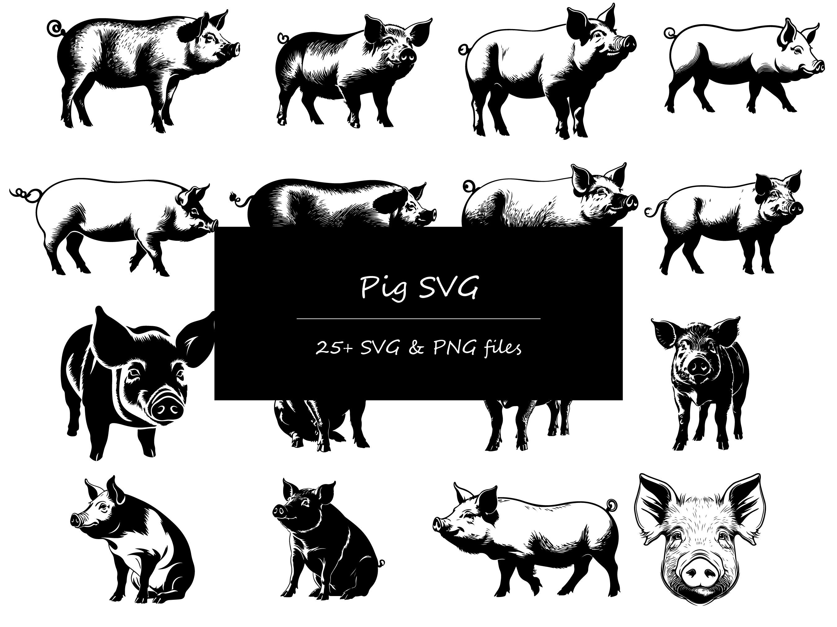 Pig SVG Bundle, Pig SVG, Pig Face SVG, Pig Head Svg, Pig Silhouette Svg ...