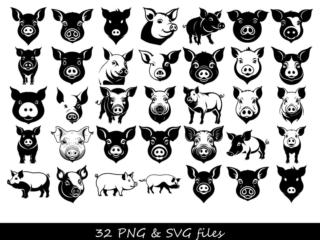Pig SVG Bundle, Pig SVG, Pig Face SVG, Pig Head Svg, Pig Silhouette Svg ...