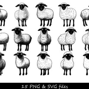 Sheep SVG, Sheep PNG, Sheep Clipart, Farm Animal SVG, Lamb Svg, Sheep ...