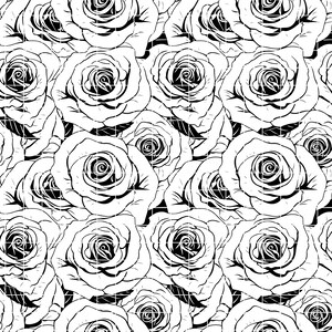 Rose Floral Pattern SVG Bundle, Seamless Pattern SVG, Flower Pattern ...