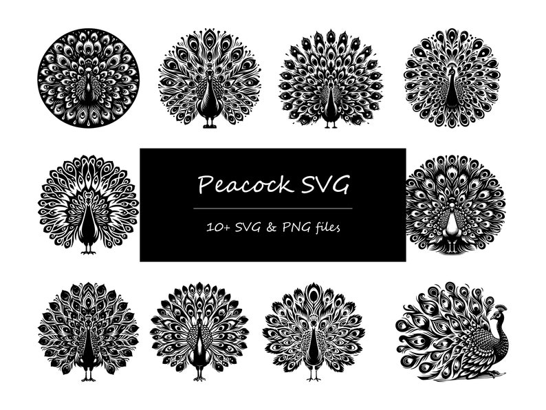 Peacock SVG Bundle, Peacock Feather SVG, Peacock Mandala Svg, Peacock ...