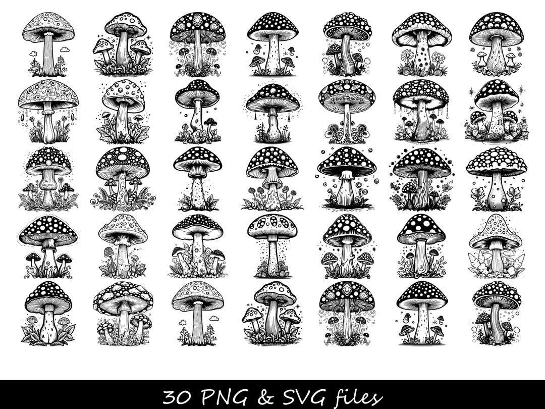Setas SVG, Imágenes Prediseñadas de setas, Archivos de corte SVG de ...
