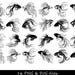 Filigree Beta Fish SVG Cut Files (svg Dxf Png Eps Jpeg) Silhouette ...
