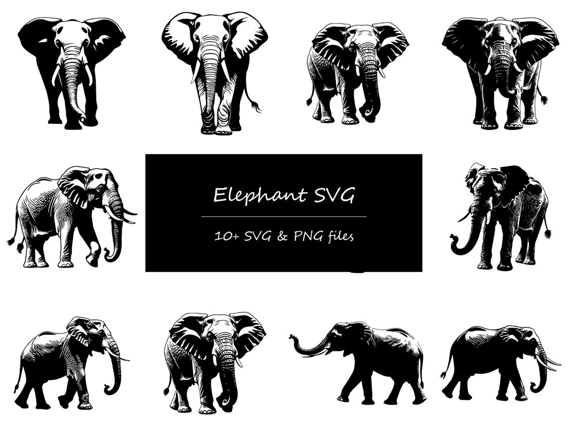 Elephant Svg, Elephant Face SVG, Elephant Mandala SVG, Elephant ...