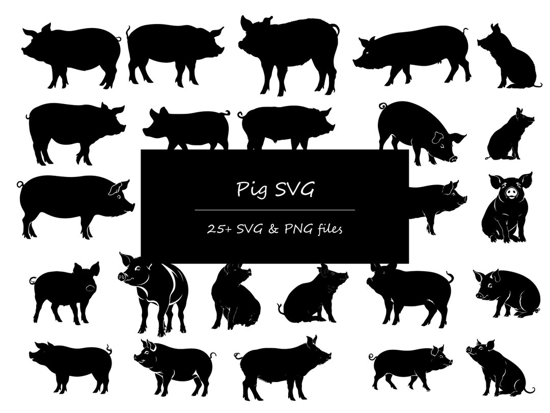 Pig SVG Bundle, Pig SVG, Pig Face SVG, Pig Head Svg, Pig Silhouette Svg ...