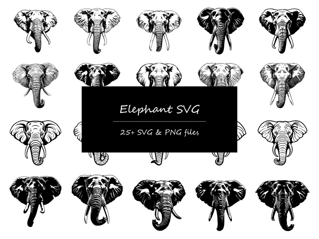 Elephant Svg, Elephant Face SVG, Elephant Mandala SVG, Elephant ...