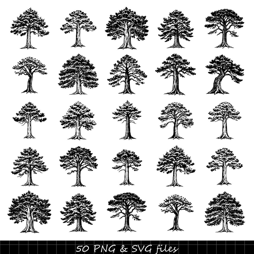 Cedar Tree SVG, Cedar Tree PNG, Tree Silhouette, Evergreen SVG, Cedar ...