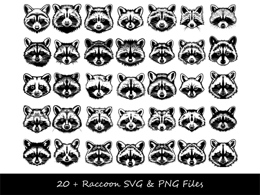 Raccoon SVG, Raccoon Face SVG, Raccoon Silhouette SVG, Raccoon Clipart ...