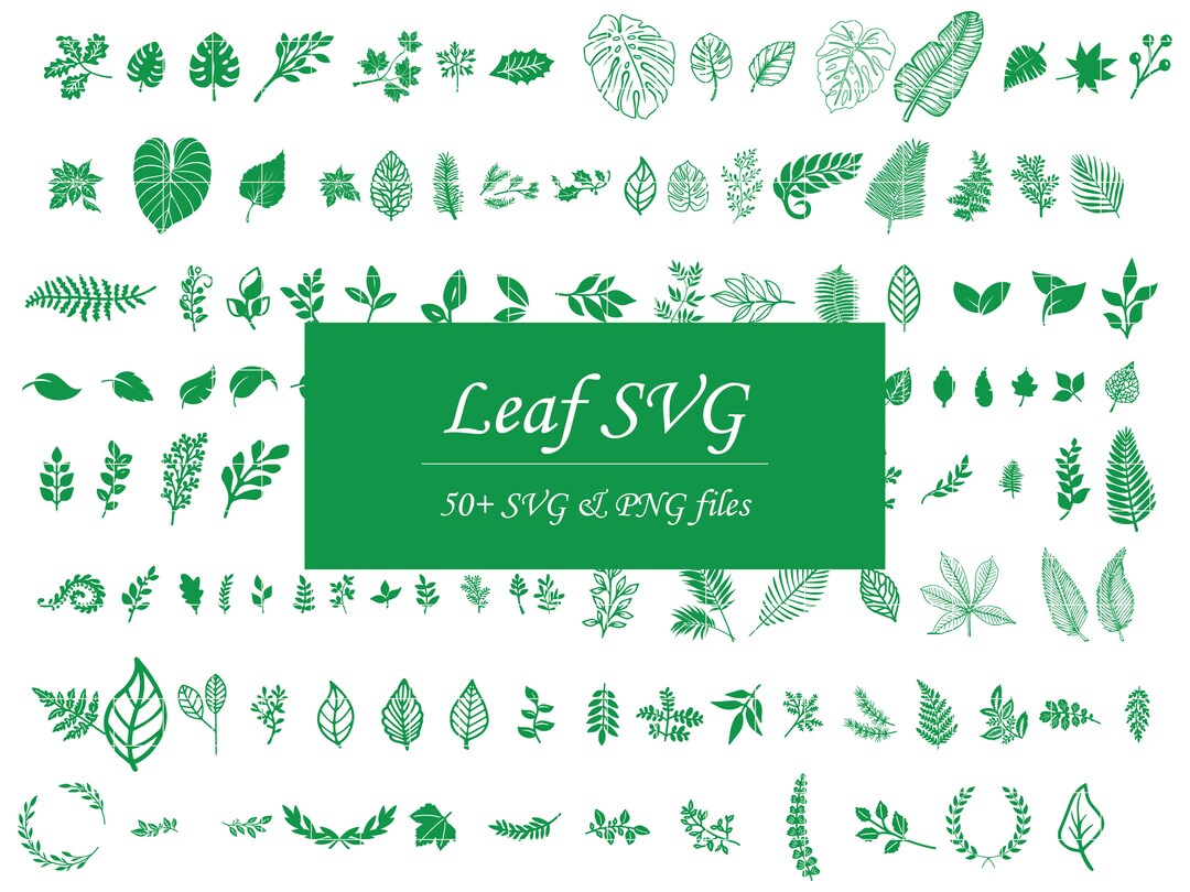 Leaf SVG, Pot Leaf SVG, Tropical Leaf SVG, Palm Leaf Svg, Monstera Leaf ...
