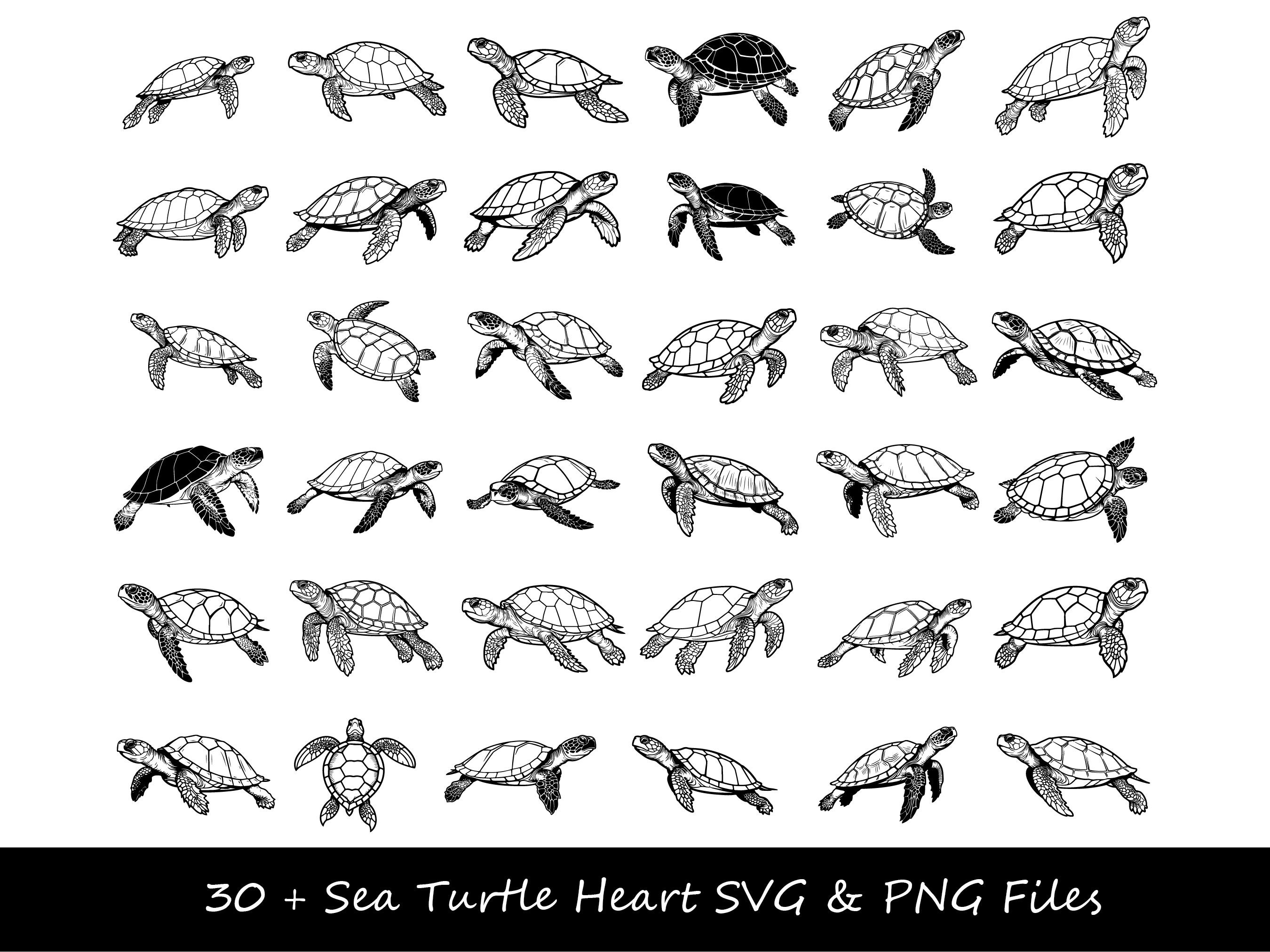 Sea Turtle SVG, Turtle SVG, Turtle Monogram SVG, Sea Turtle Clipart ...