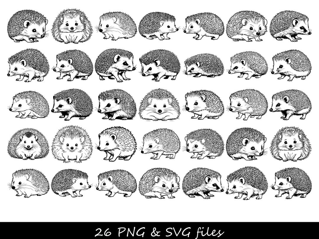 Hedgehog Svg, Hedgehog Clipart, Hedgehog Png, Hedgehog Head, Hedgehog ...