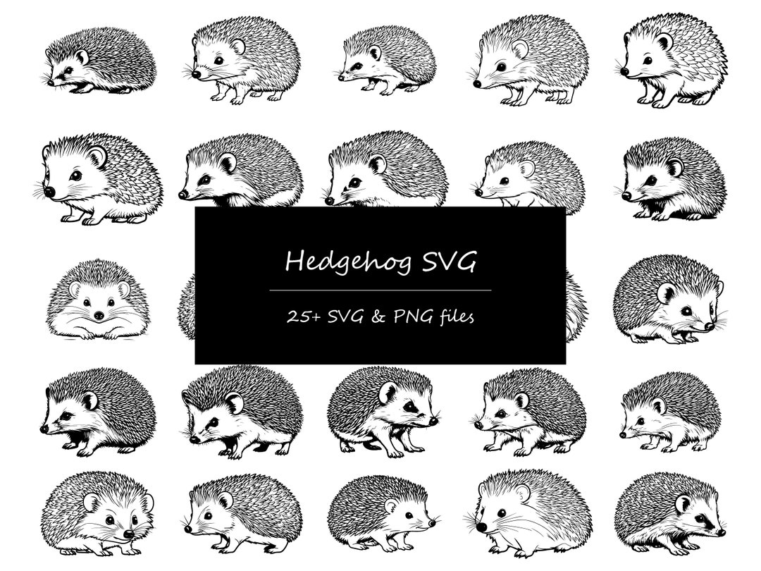 Hedgehog Svg, Hedgehog Clipart, Hedgehog Png, Hedgehog Head, Hedgehog ...