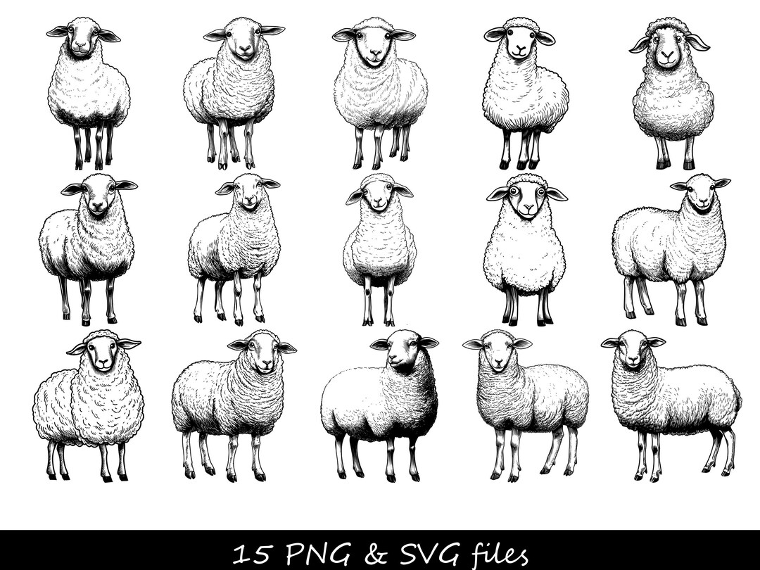 Sheep SVG, Sheep PNG, Sheep Clipart, Farm Animal SVG, Lamb Svg, Sheep ...