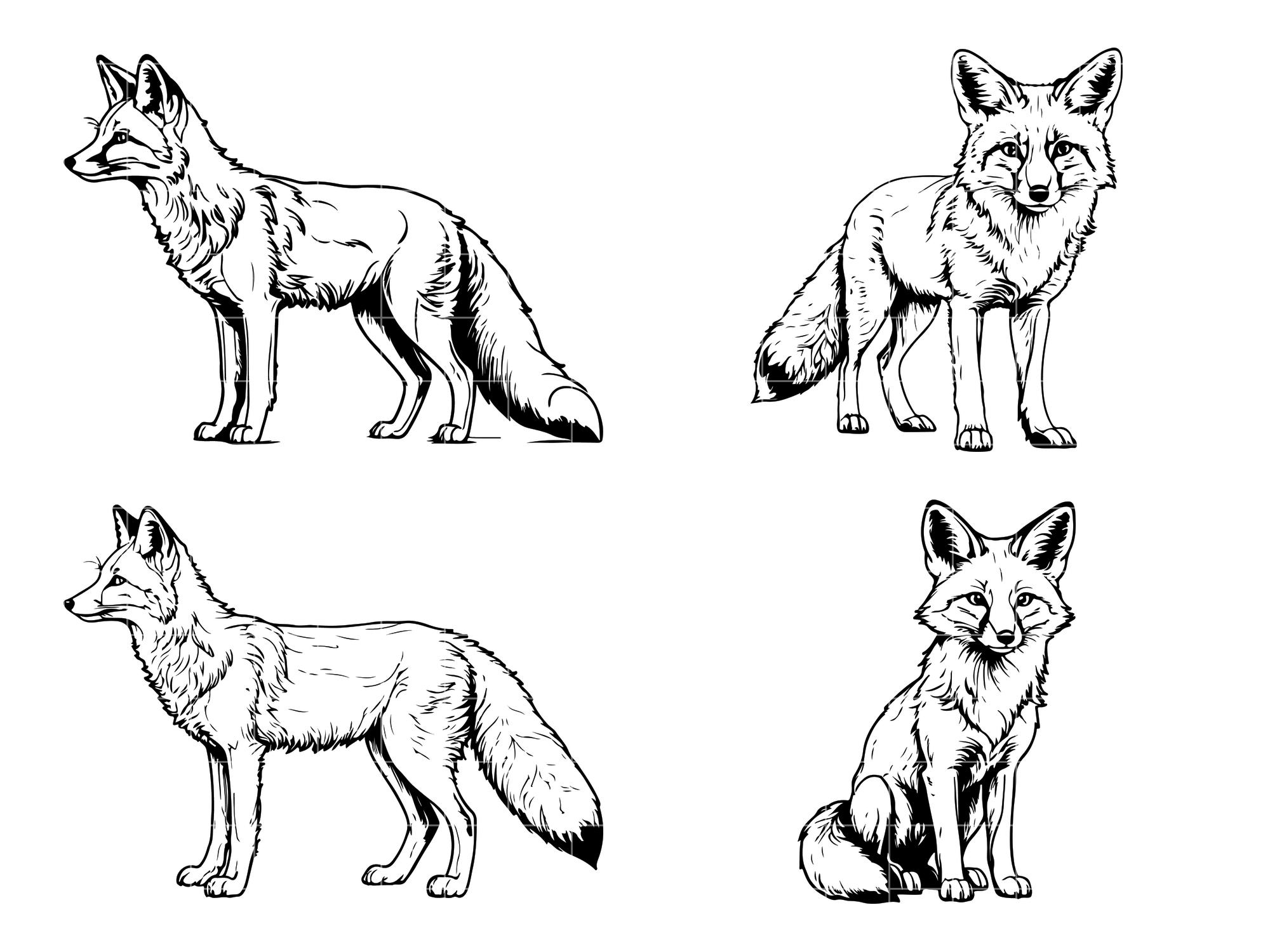Fox SVG Bundle, Fox SVG, Fox Head SVG, Fox Face Svg, Fox Silhouette Svg ...