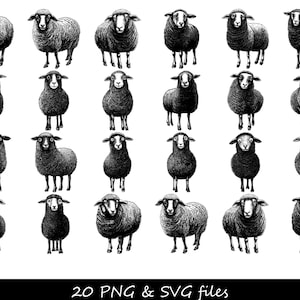 Sheep SVG, Sheep PNG, Sheep Clipart, Farm Animal SVG, Lamb Svg, Sheep ...