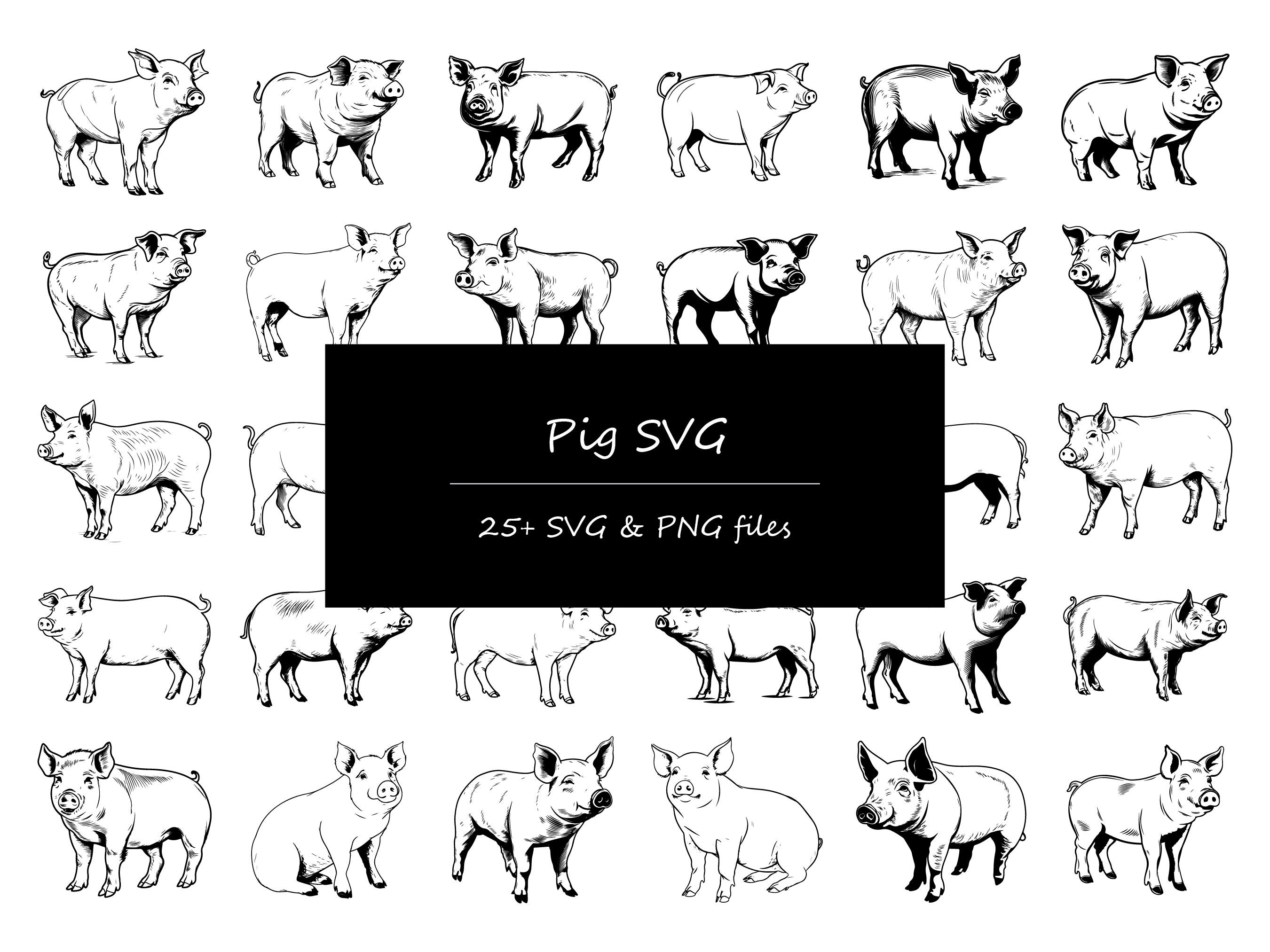 Pig SVG Bundle, Pig SVG, Pig Face SVG, Pig Head Svg, Pig Silhouette Svg ...
