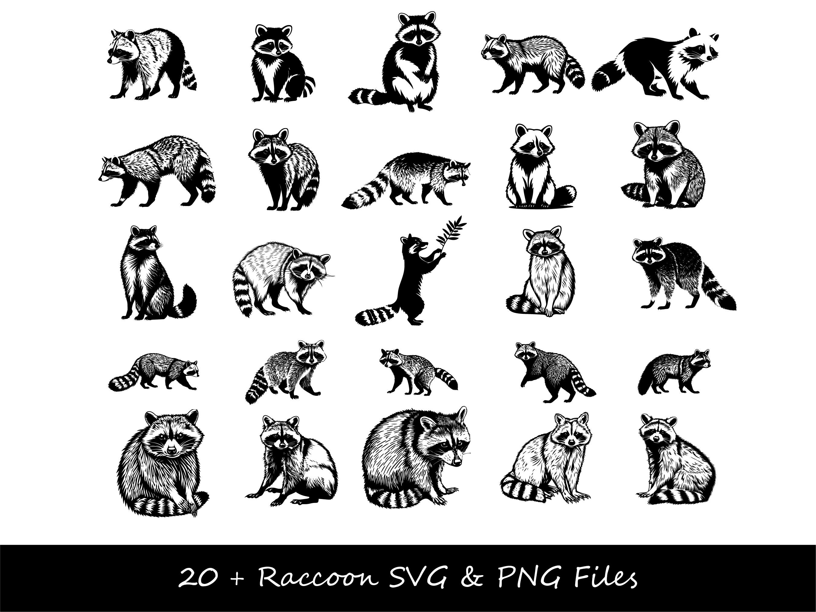 Raccoon SVG, Raccoon Face SVG, Raccoon Silhouette SVG, Raccoon Clipart ...