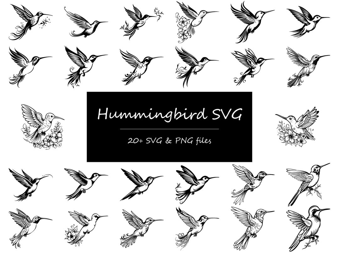 Hummingbird SVG, Bird SVG, Hummingbird Silhouette SVG, Hummingbird ...