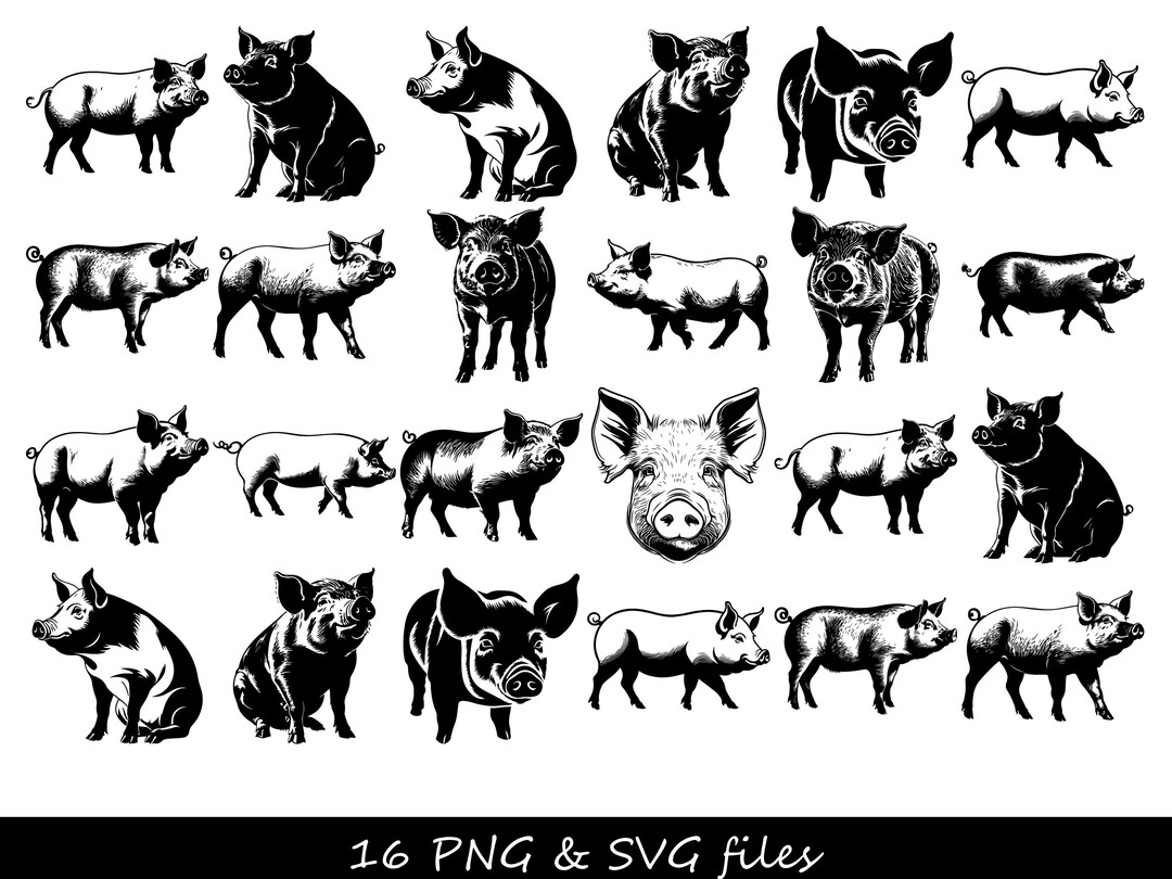 Pig SVG Bundle, Pig SVG, Pig Face SVG, Pig Head Svg, Pig Silhouette Svg ...