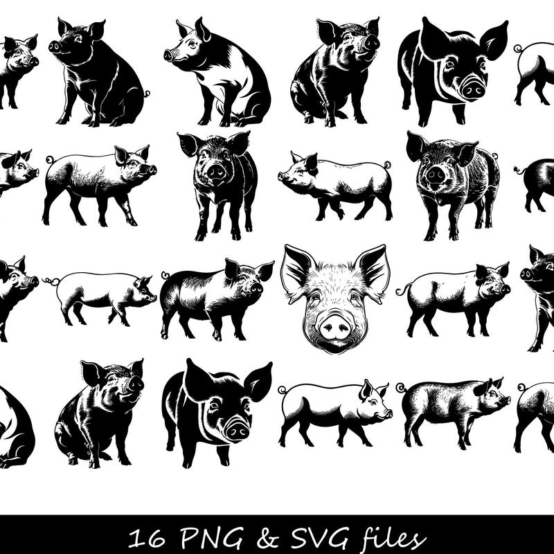 Cartoon Pigs Vector - Etsy