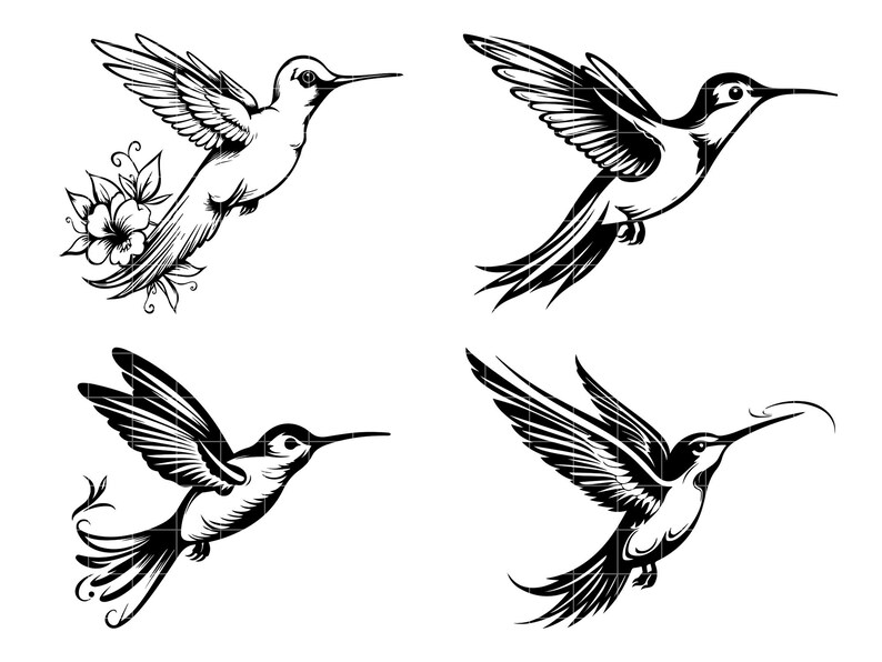 Hummingbird SVG, Bird SVG, Hummingbird Silhouette SVG, Hummingbird ...