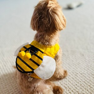 Dog Adjustable Harness and Leash Set, Halloween Honeybee Costume, With ...