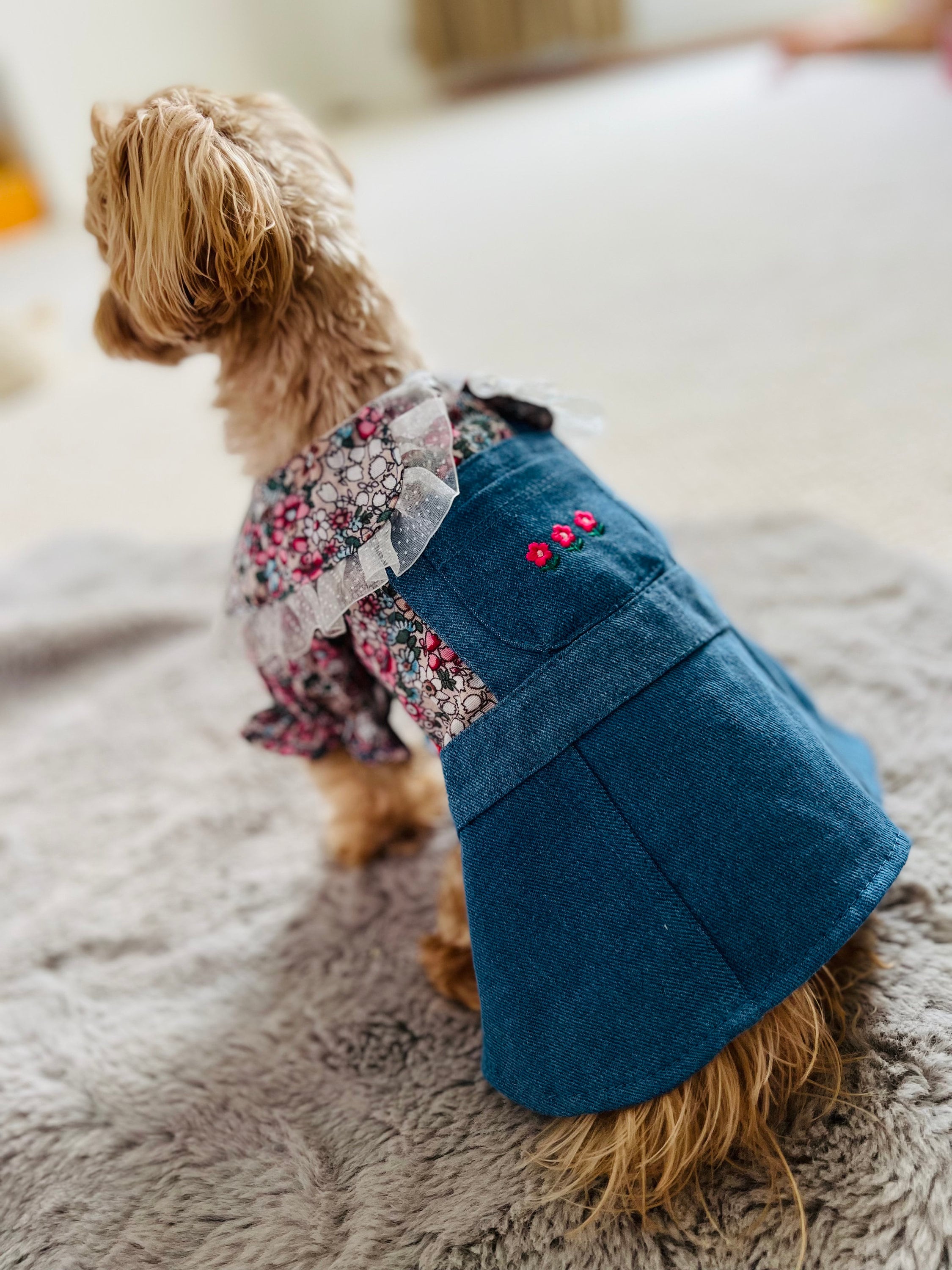 Cowgirl Dog Dress, Rodeo Costume for Halloween, Kitten Puppy Clothes ...